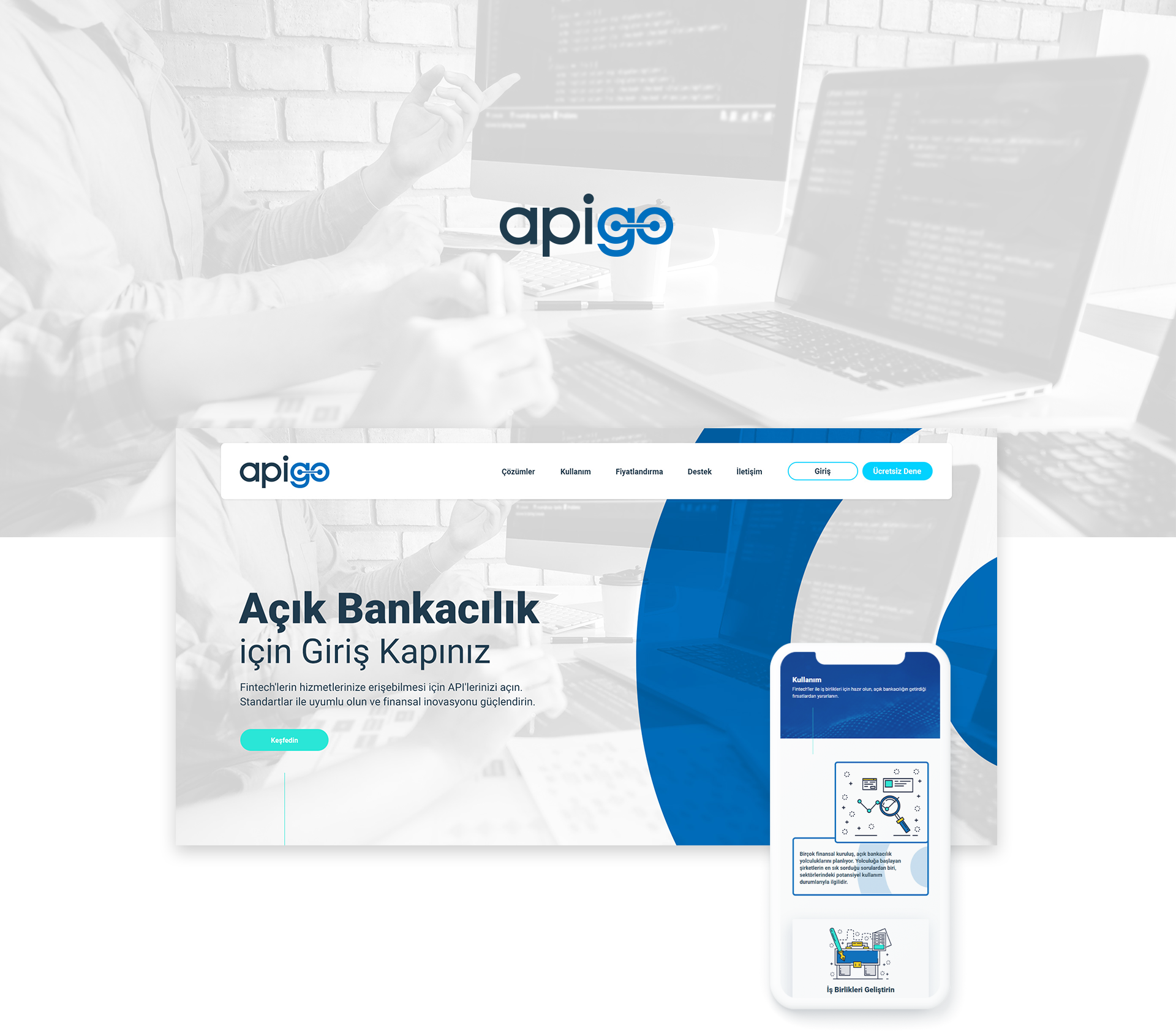 APIGO - WEB & APP DEVELOPMENT | Enüstkat Interactive